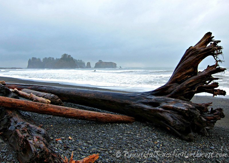 Rialto Beach Washington In Olympic National Park
